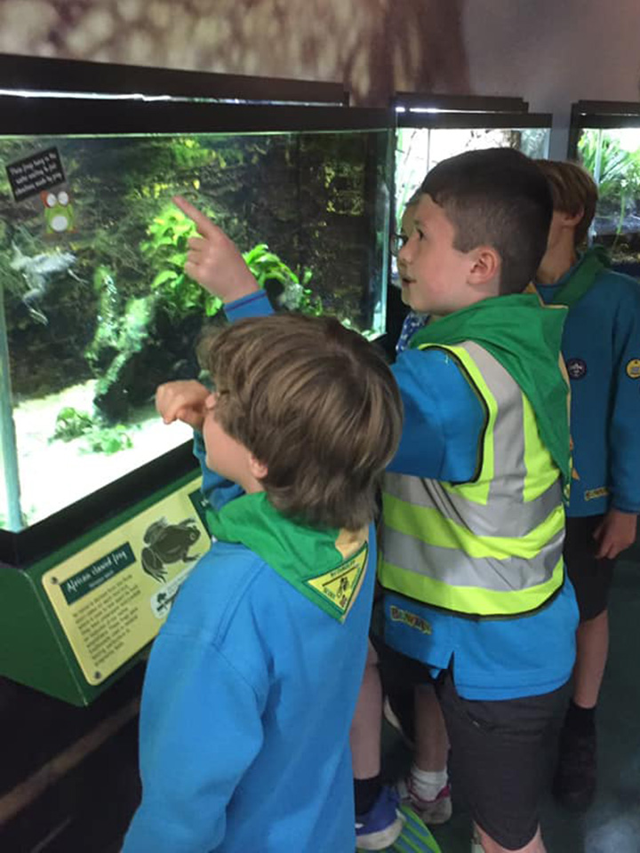 1st Dursley Scouts – 100 years and still going strong